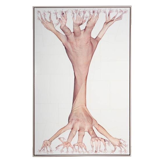 Tim Hawkinson | Gum (2004) | MutualArt