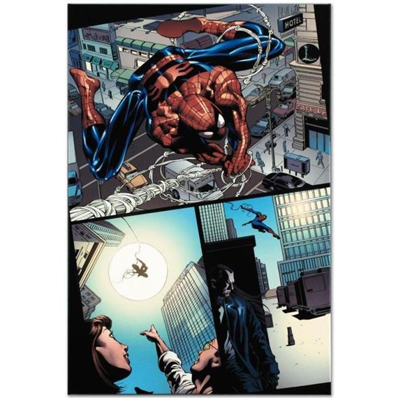 Mike Jr Deodato | Amazing Spider-Man #526 | MutualArt