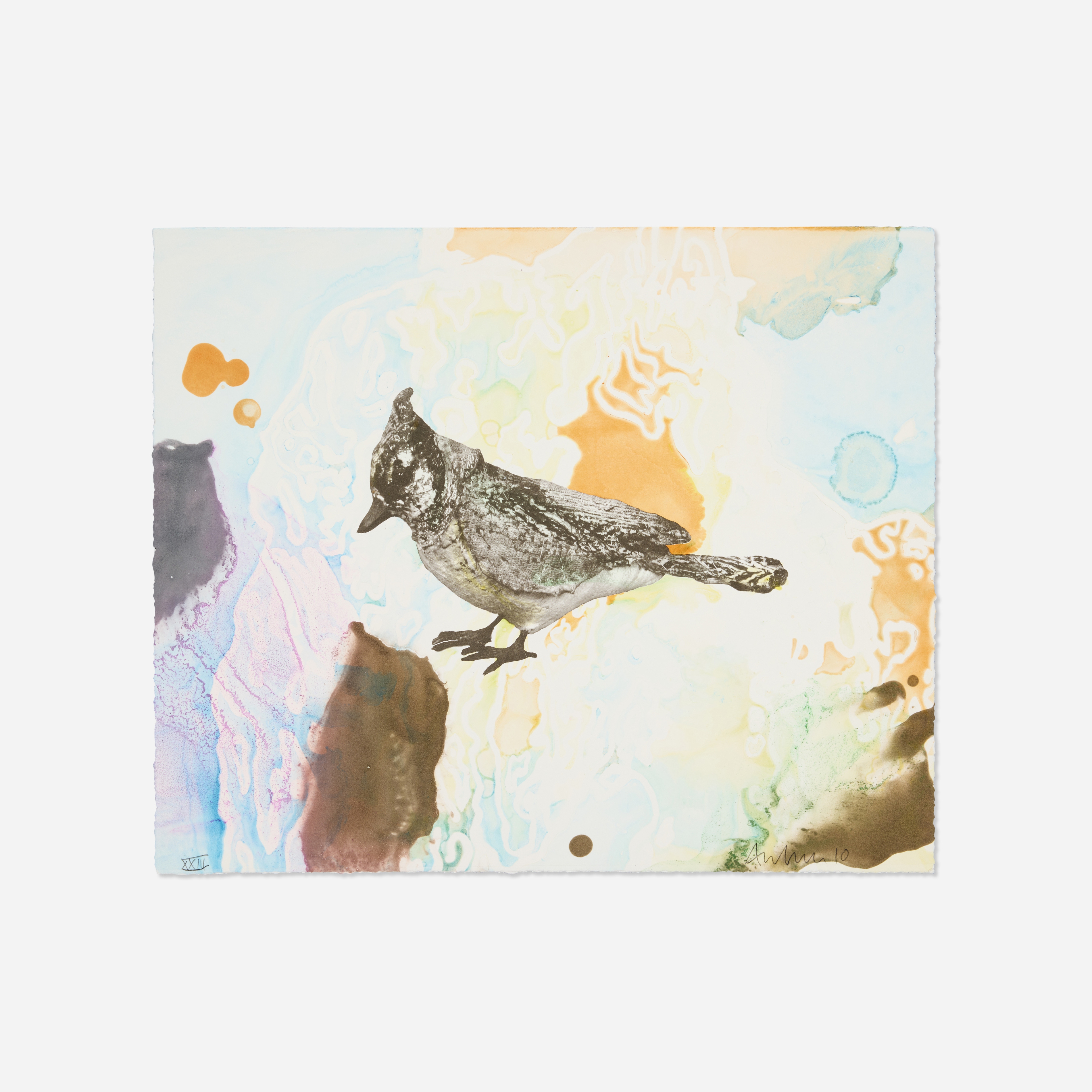 Anne Chu | XXIII (from the Blue Jay Monotypes series (2010) | MutualArt