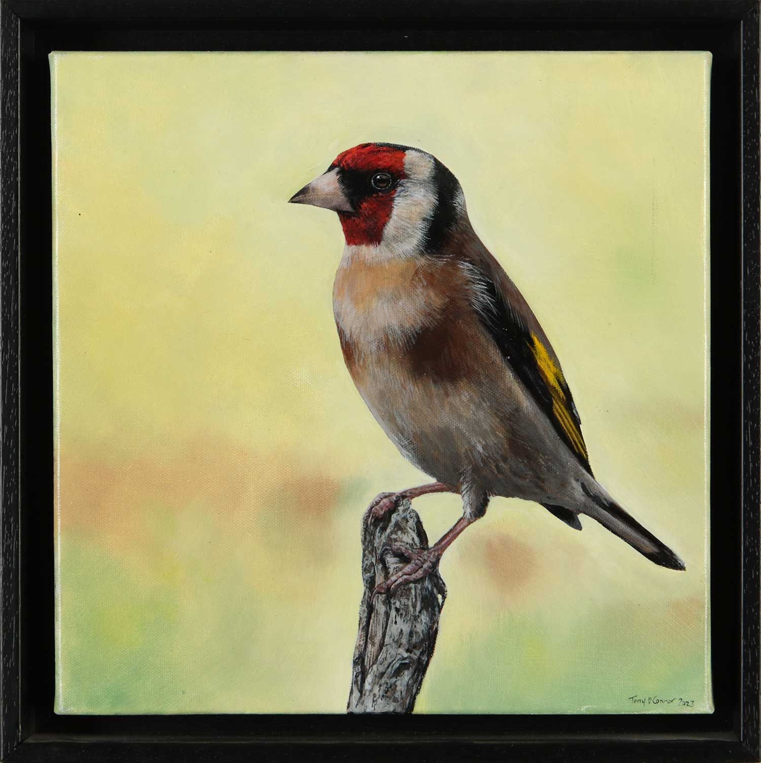 Tony O'Connor | GOLDFINCH (2023) | MutualArt