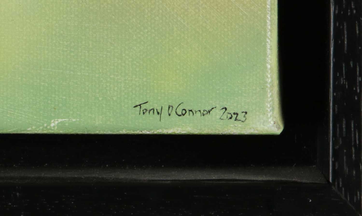 Tony O'Connor | GOLDFINCH (2023) | MutualArt