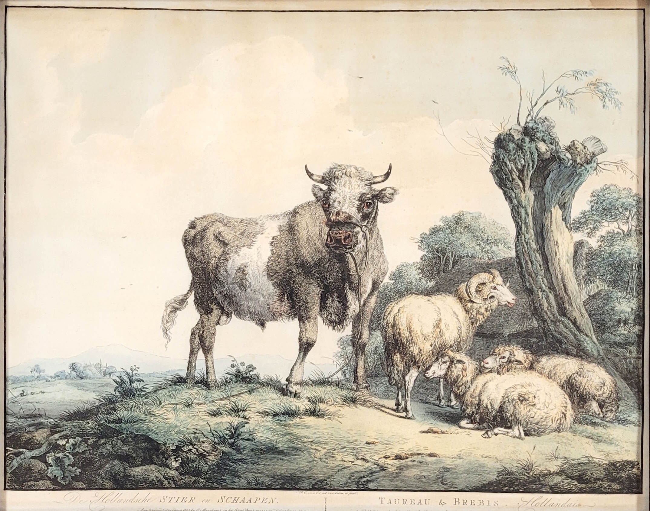 Pieter Os | De Hollandsche Stier en Schapen (1803) | MutualArt