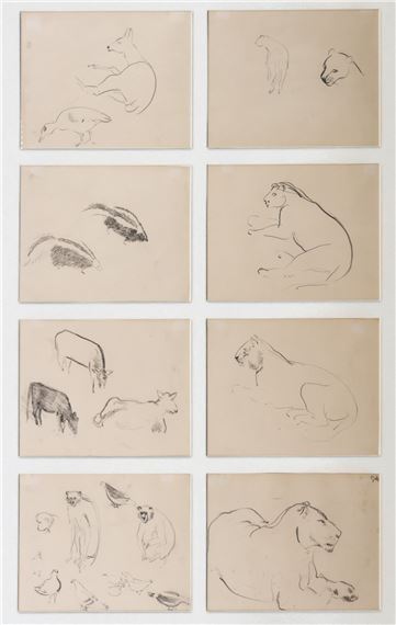Guy Anderson | Animal Drawings | MutualArt