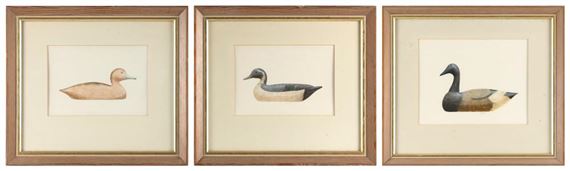 Joseph Cibula | Portraits Of Decoys: A Pintail Drake, A Redhead Hen And ...