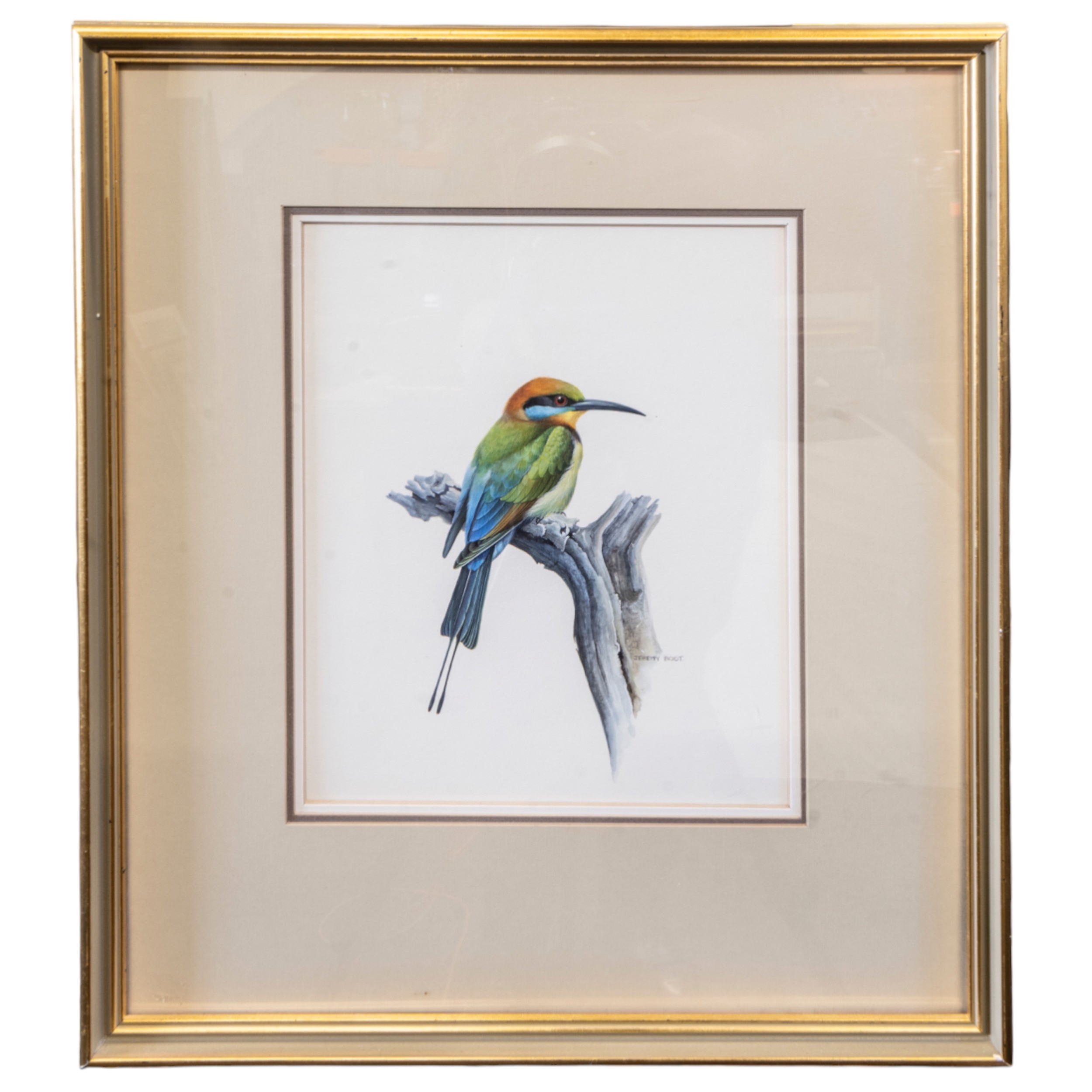 Jeremy Boot | WHITE TAILED KINGFISHER AND RAINBOW BEE-EATER (83 ...
