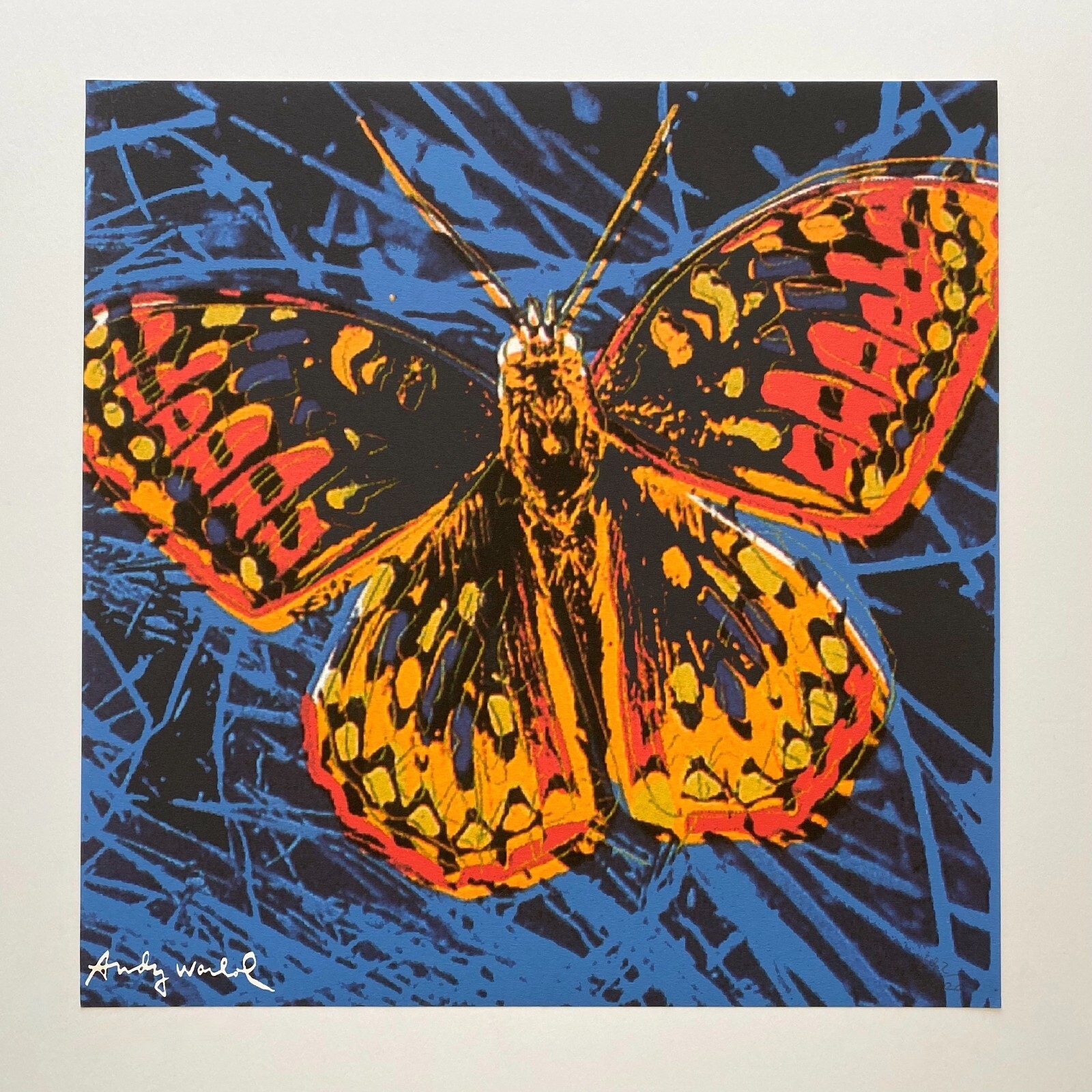 Andy Warhol | San Francisco Silverspot Butterfly (1986) | MutualArt