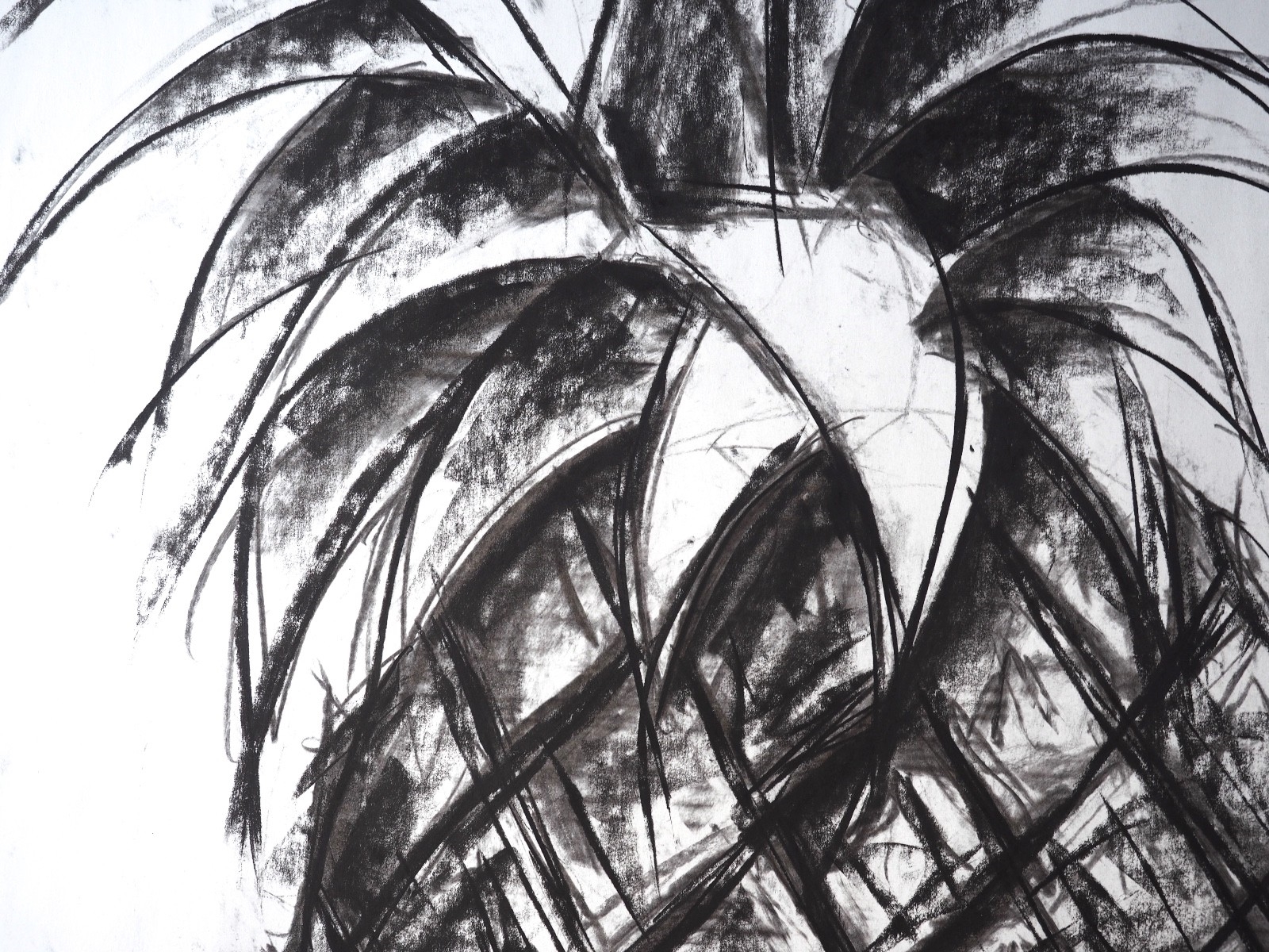 Vladimir Cora | Signed Original Charcoal Drawing Still Life (2001 ...