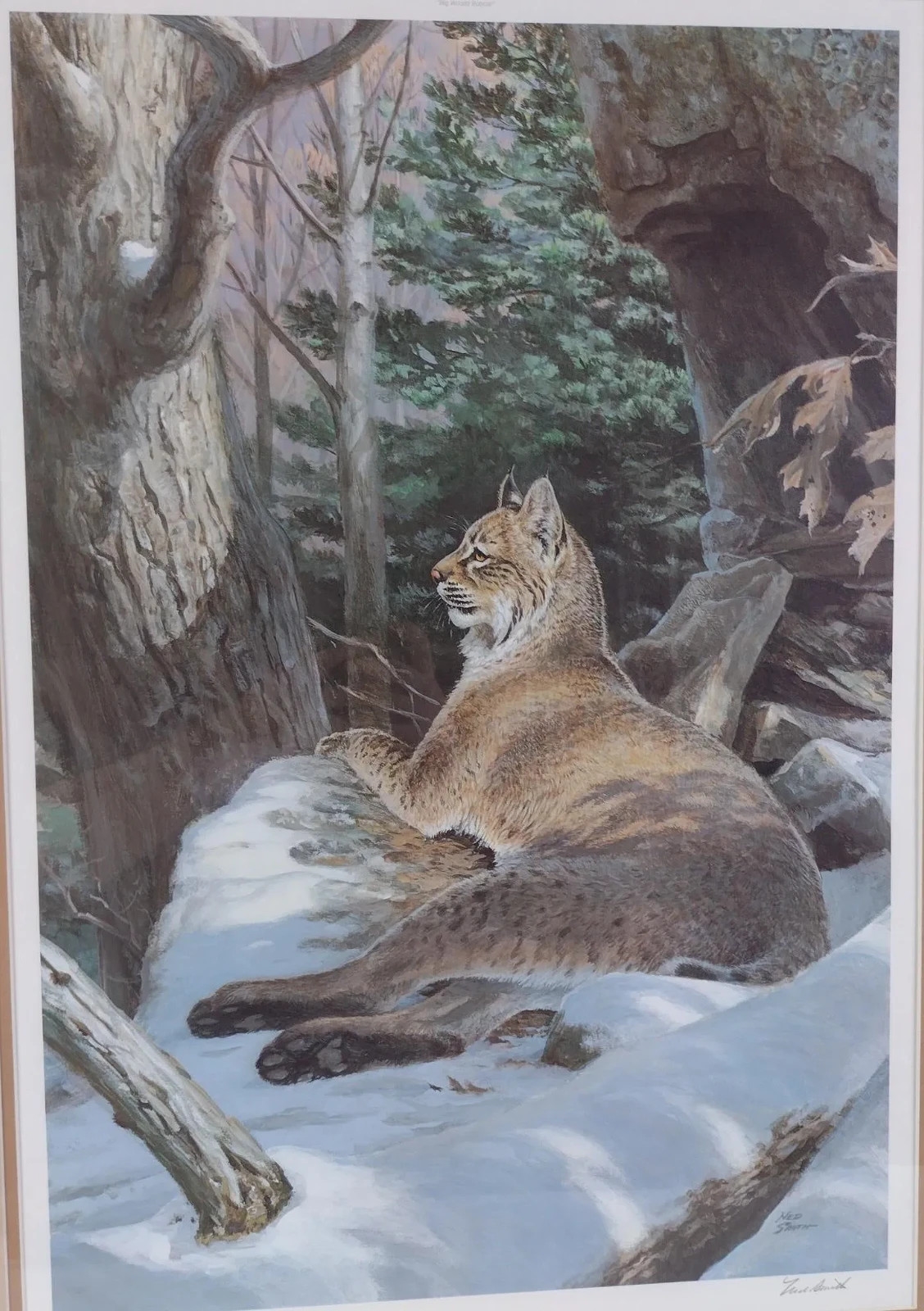 Ned Smith | Big Woods Bobcat 130/600 Ned Smith Limited Edition Signed ...