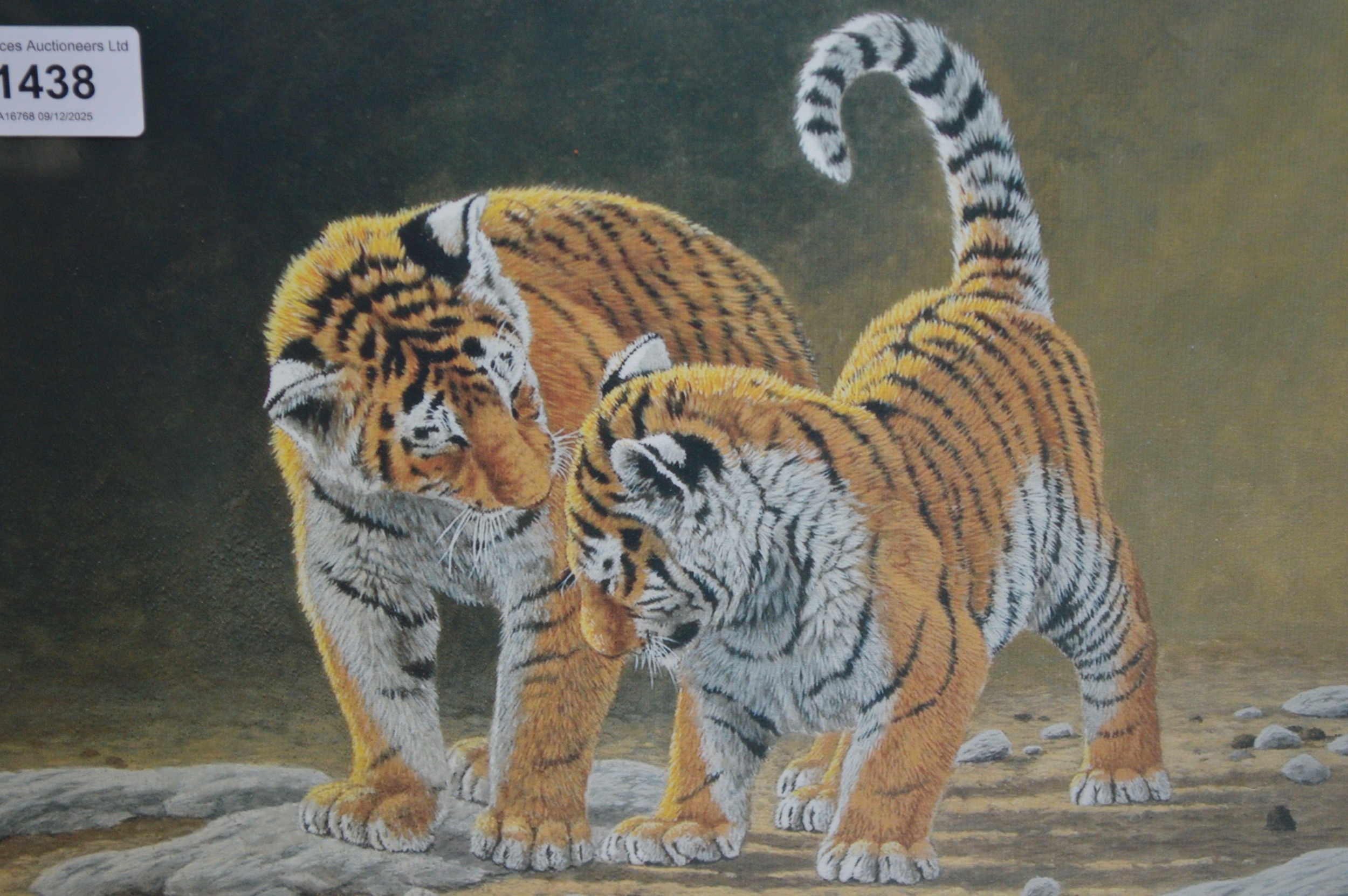 Stephen Gayford | Group of seven coloured prints, various big cats ...