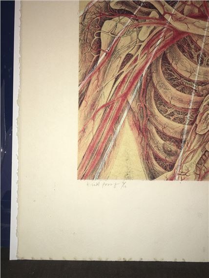 Alex Grey | Praying (1980) | MutualArt