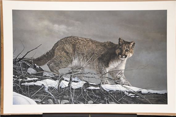 Charles Frace | Alaskan Autumn, American Monarch, Bandit, Bobcat with ...