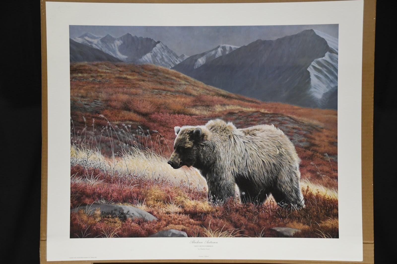 Charles Frace | Alaskan Autumn, American Monarch, Bandit, Bobcat with ...