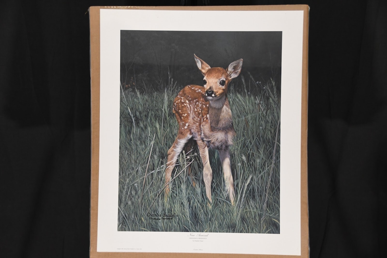 Charles Frace | Alaskan Autumn, American Monarch, Bandit, Bobcat with ...