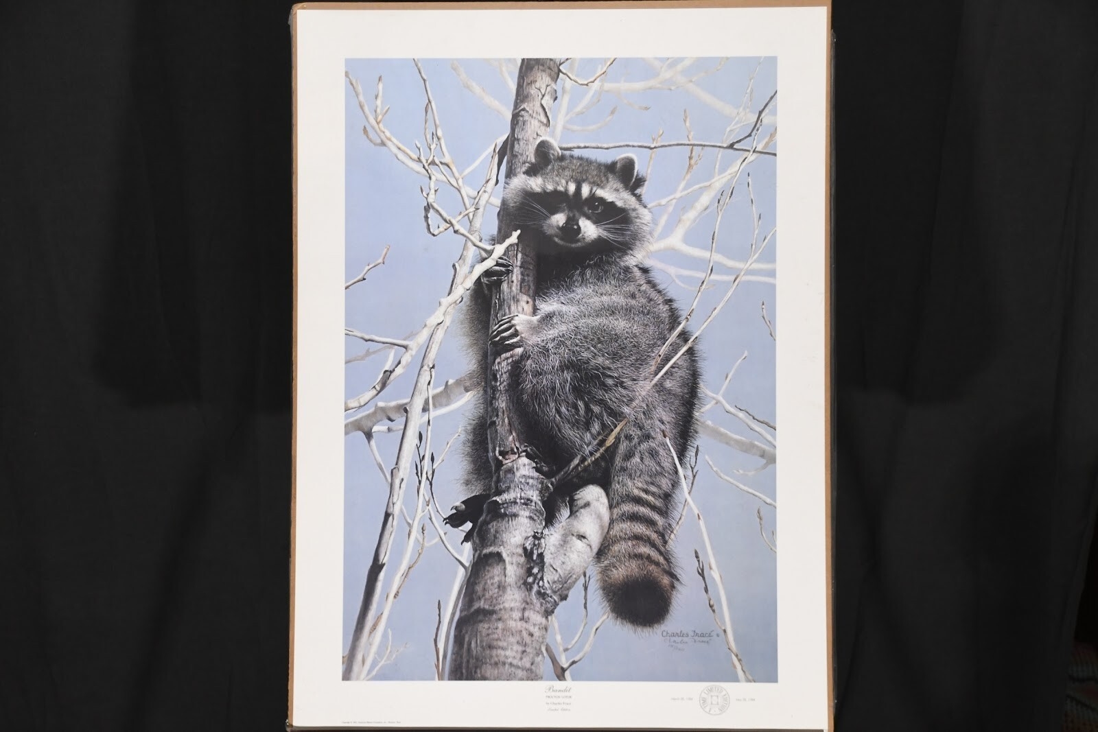 Charles Frace | Alaskan Autumn, American Monarch, Bandit, Bobcat with ...