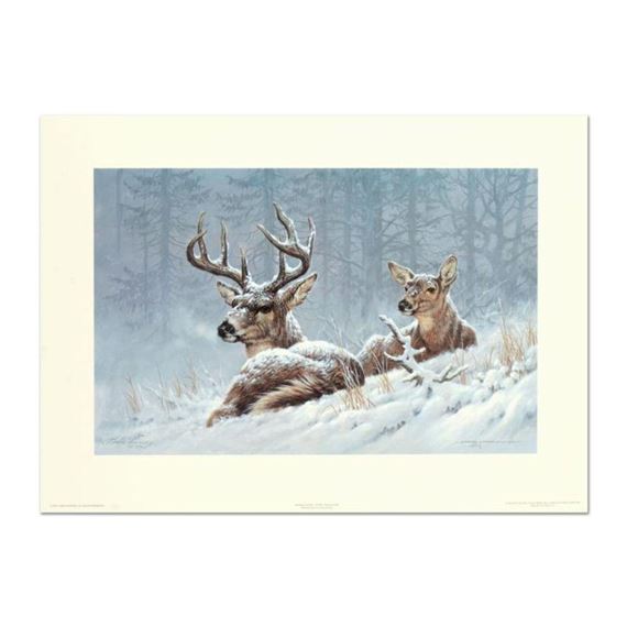Larry Fanning | Bedded Down (Whitetail Deer | MutualArt