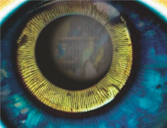 Abbey Anson | Artist Overview | MutualArt