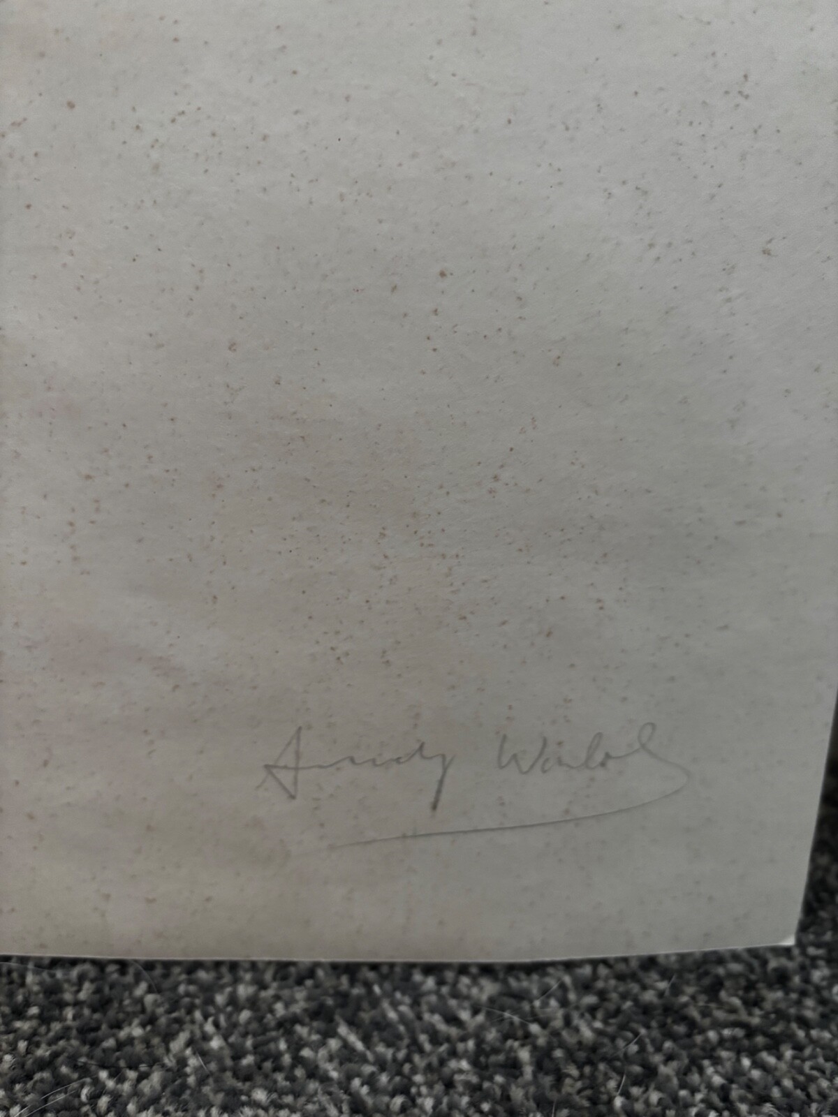 Andy Warhol | portrait of einstein authenticated and signed front and ...