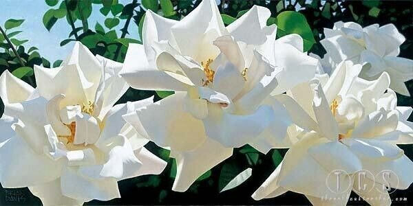 Brian Davis | Radiant Rose Quartet Fine Art (2000) | MutualArt