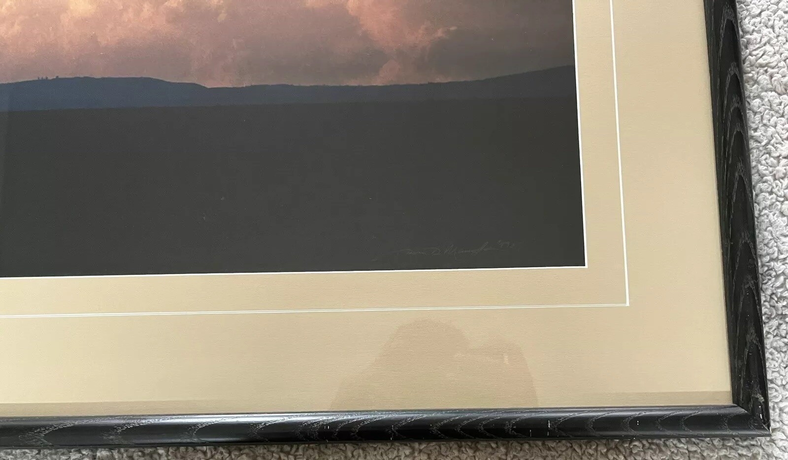 Thomas Mangelsen | Gathering Storm - Serengeti (2000) | MutualArt