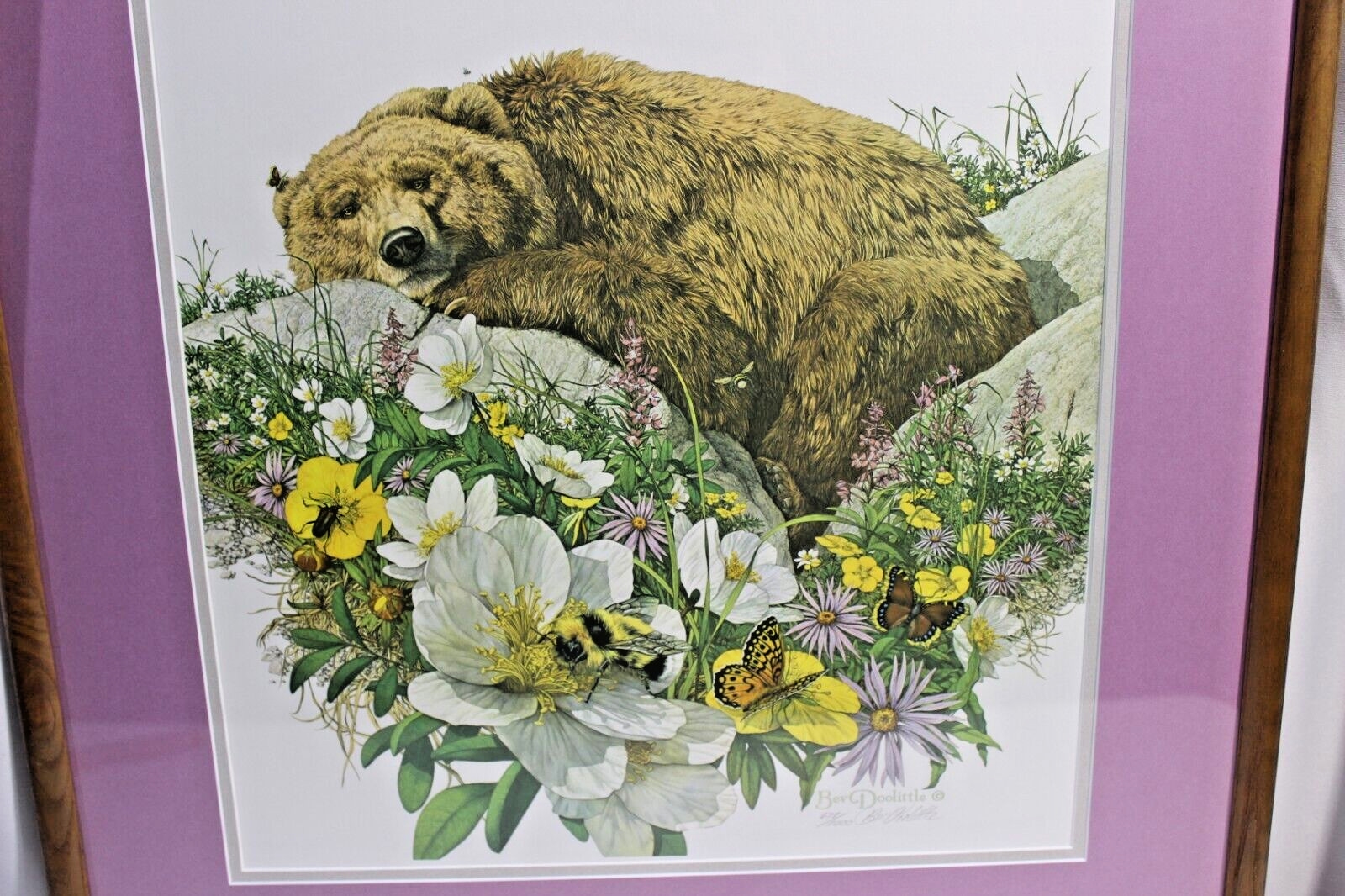 Bev Doolittle | Bugged Bear Limited Edition Print | MutualArt
