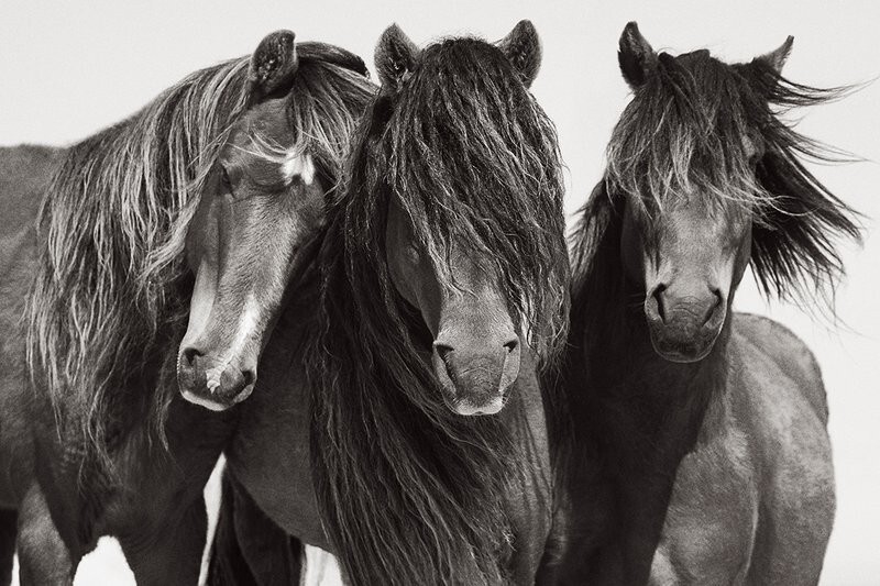 Drew Doggett | Trinity (Spirit of Sable Collection) (2020) | MutualArt
