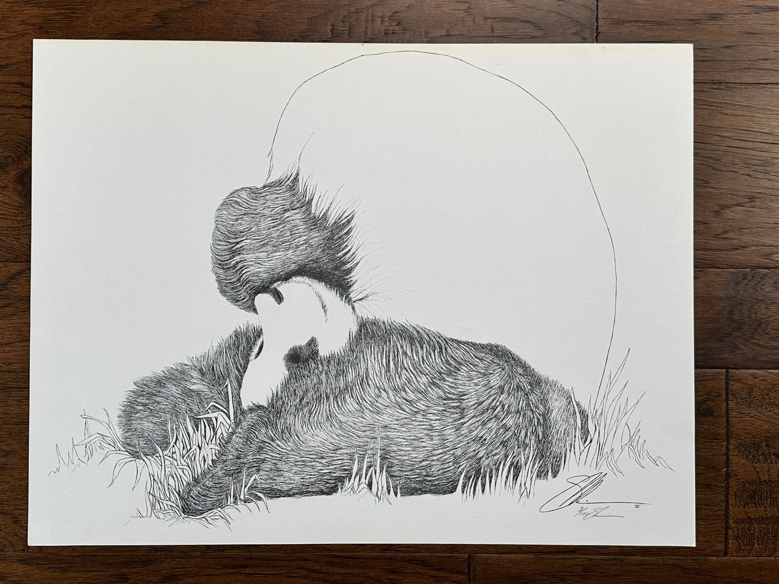 Susan Morrison | Vintage 1975 Retired RARE Susan Morrison signed prints ...