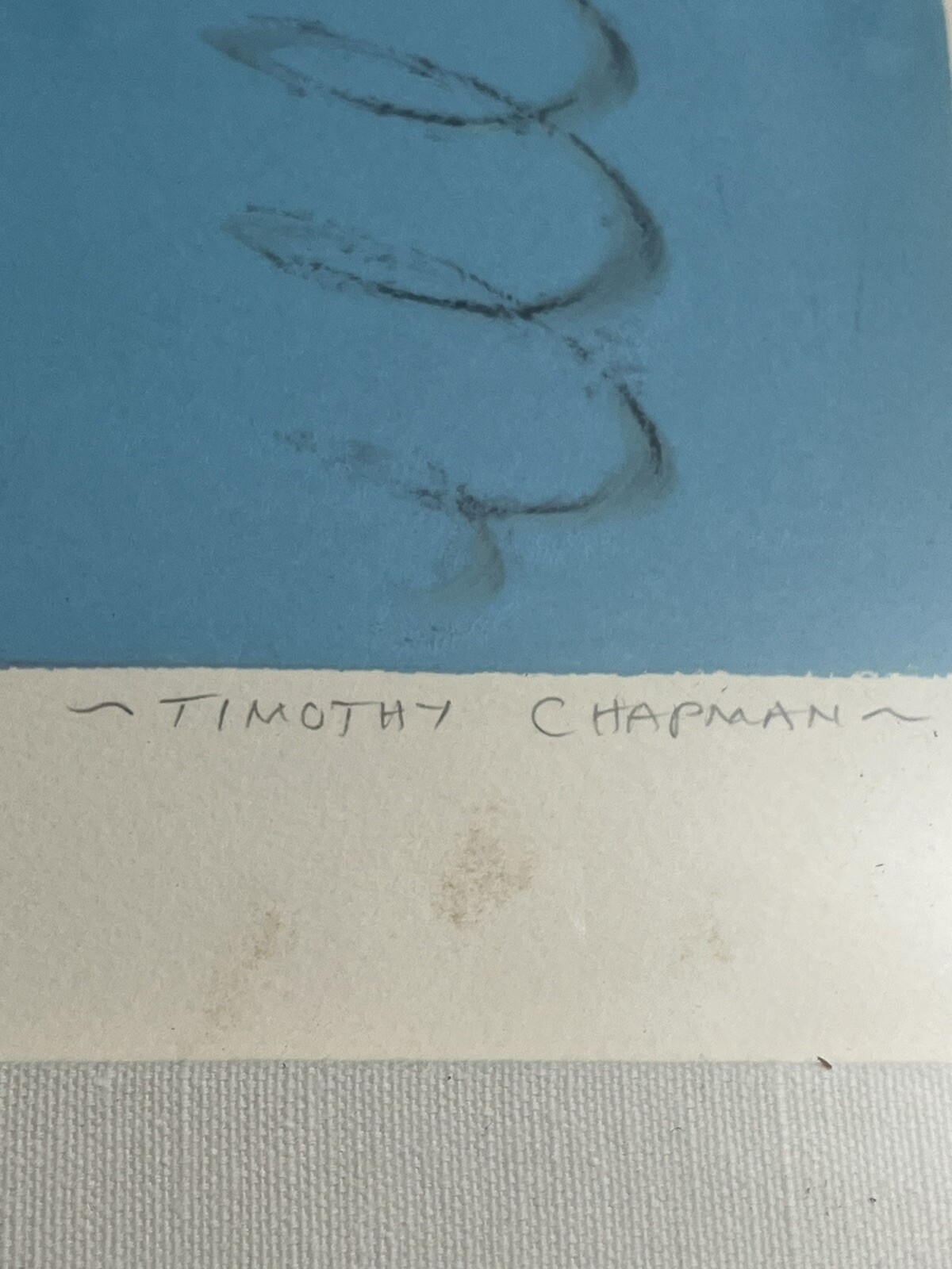 Timothy Chapman | The Wheel Envied The Lotus (2006 - 2023) | MutualArt
