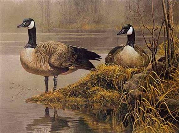 Robert McLellan Bateman | Canada Geese - Nesting - Signed Publisher ...