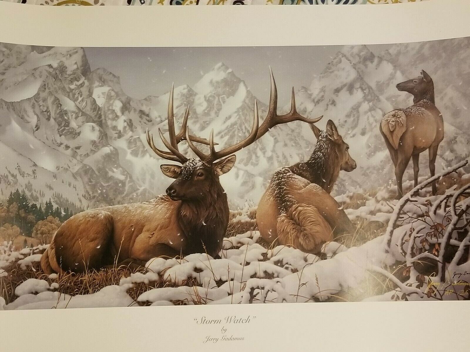 Jerry Gadamus | Storm Watch Elk (2005) | MutualArt