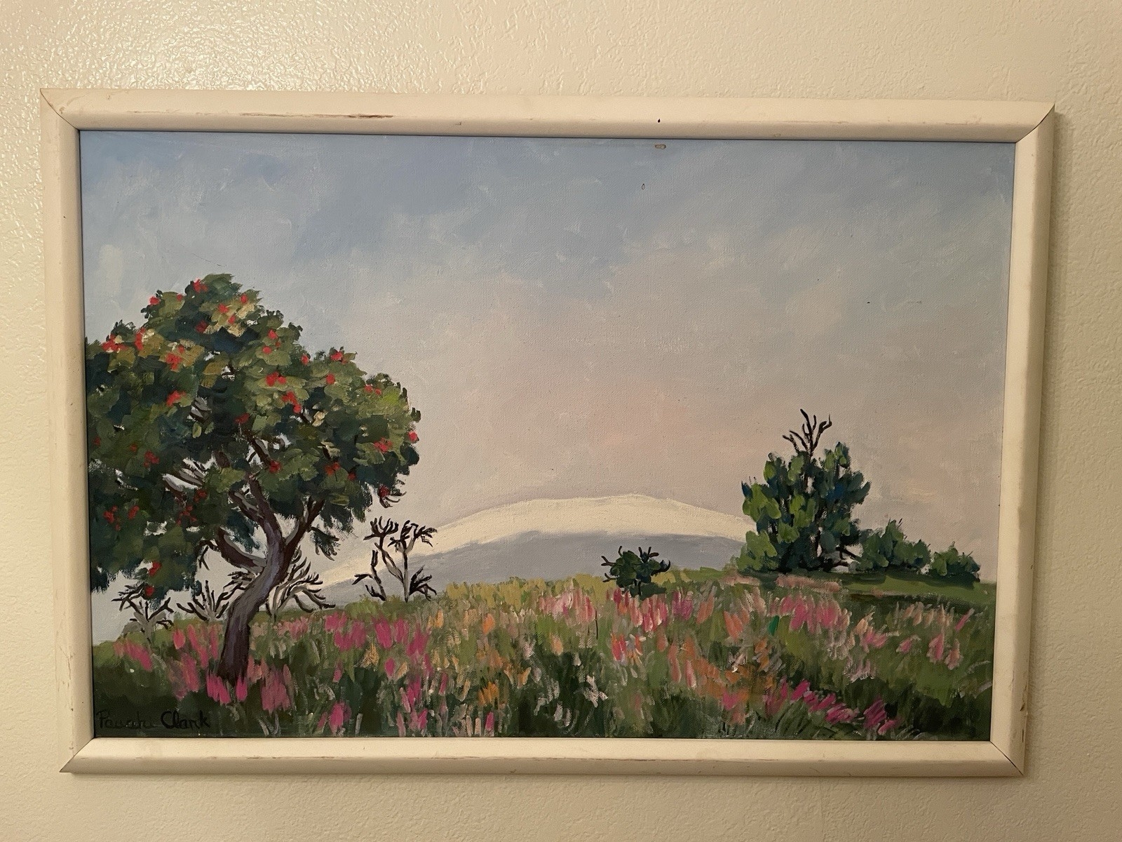Pauahi Clark | Snow on Mauna Loa (1970) | MutualArt