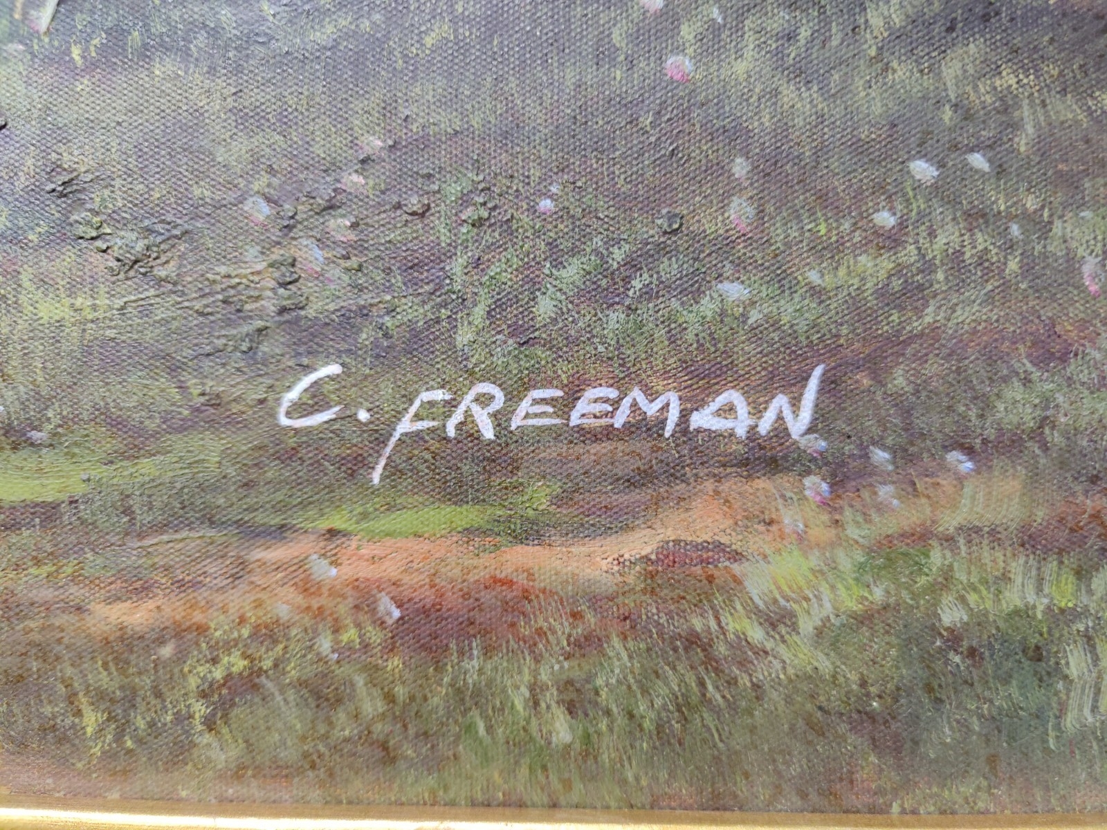 C. Freeman | Southern Trail (2013 - 2024) | MutualArt