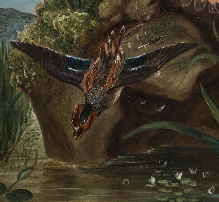 John James Audubon | Pairs Of Hawks Fighting Bird (19th Century ...
