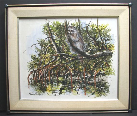 William Harold Hancock | Racoon in Mangrove | MutualArt