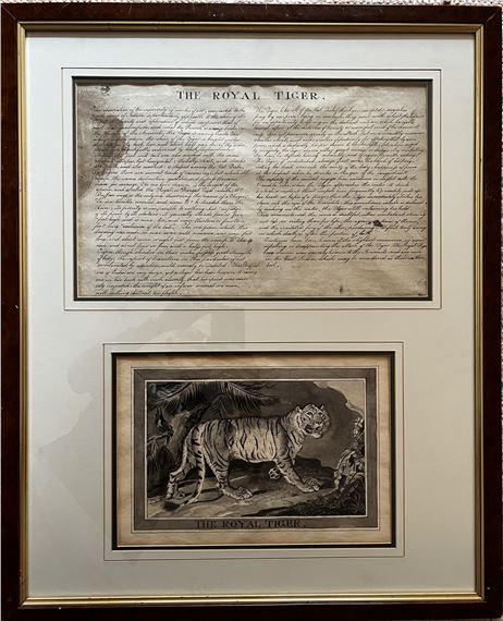 Charles Catton | The Royal Tiger (1800 - 1899) | MutualArt