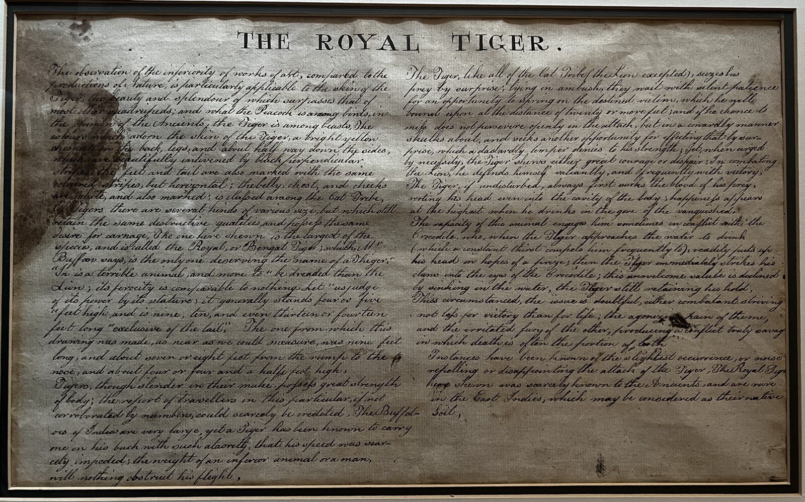 Charles Catton | The Royal Tiger (1800 - 1899) | MutualArt