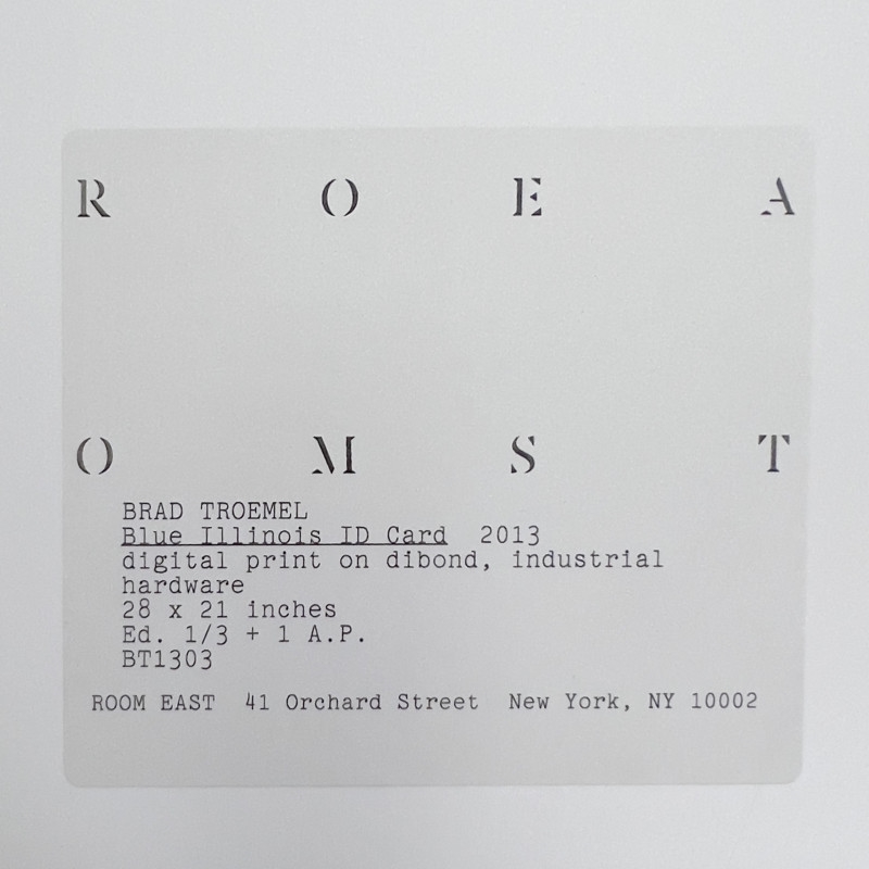 Brad Troemel | Blue Illinois ID Card (2013) | MutualArt