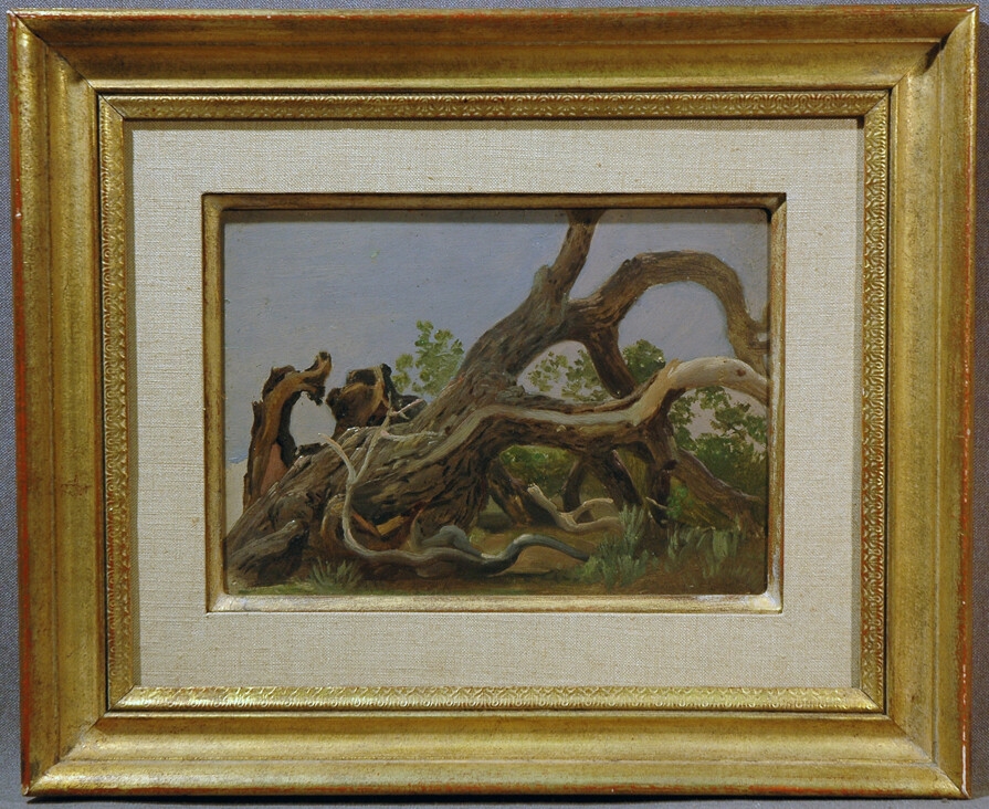 Charles Ferdinand Wimar | Study of trees Mississippi River (1800 - 1899 ...