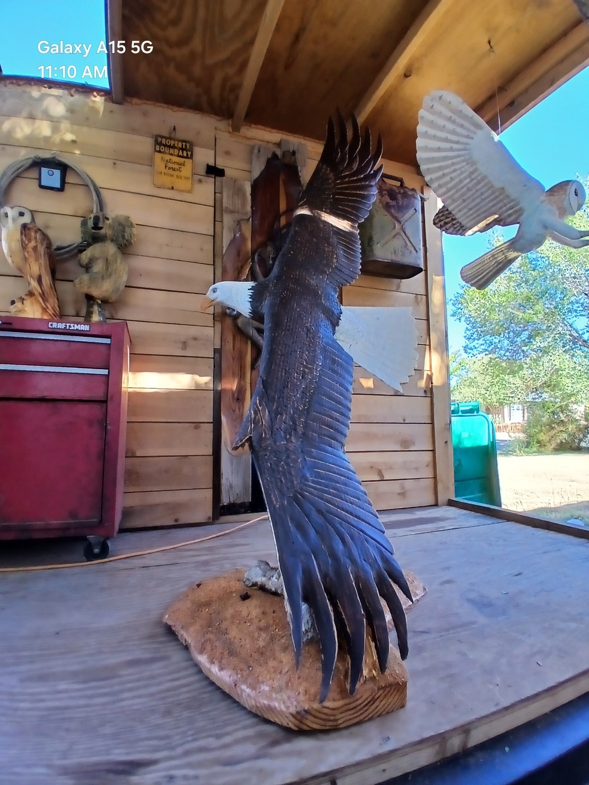Ken Craig | Chainsaw Wood Carving Art Sculpture Bald eagle with trout ...
