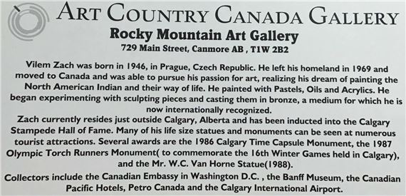 Vilem Zach | Iroquois (2019 - 2021) | MutualArt
