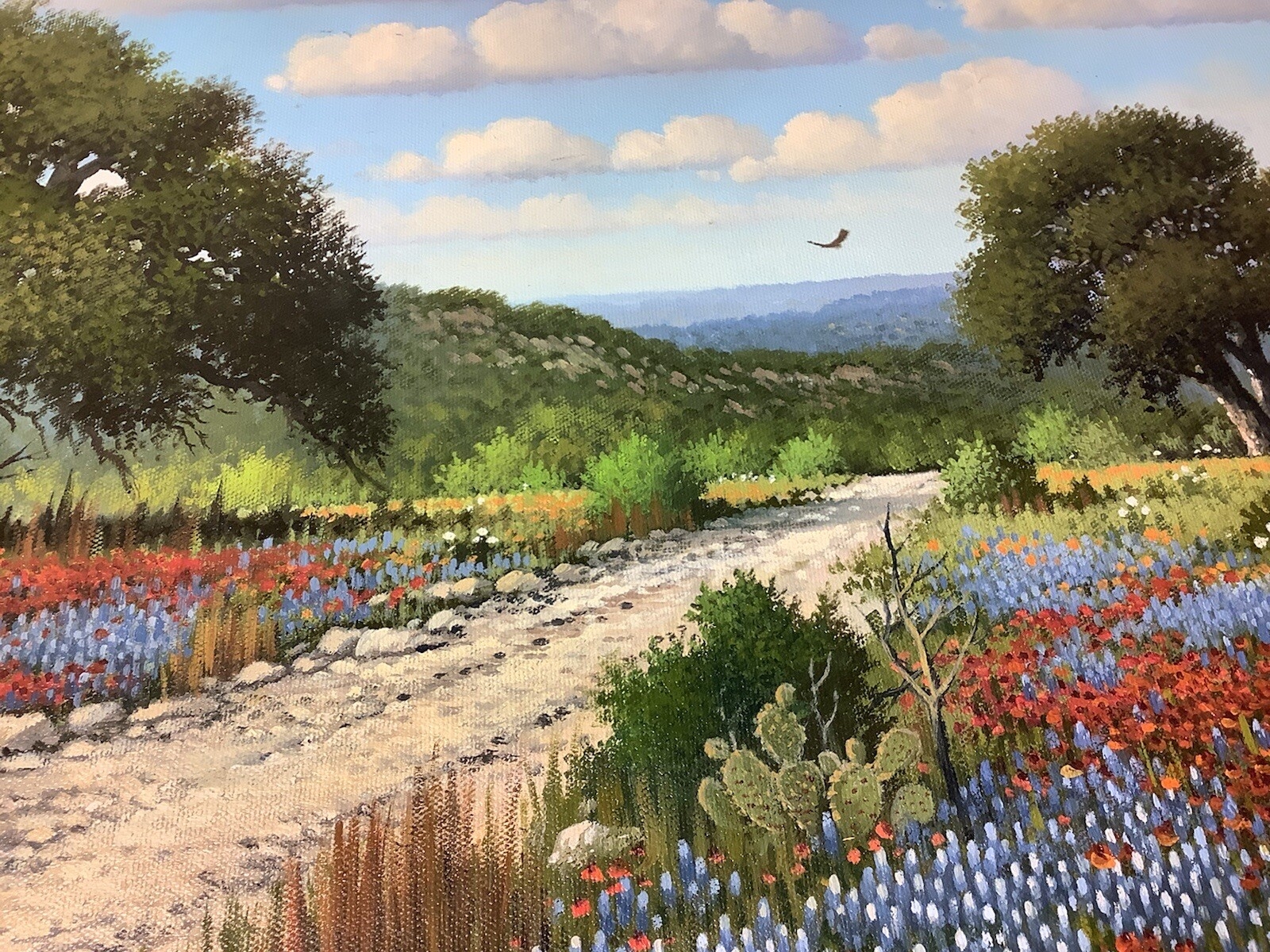 Larry Prellop | Hill Country View (2006 - 2025) | MutualArt