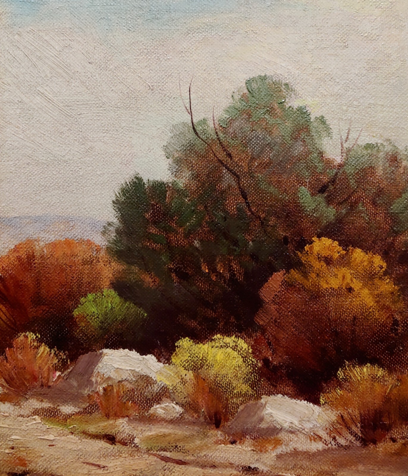 John Anthony Conner | Mohave Desert (1960) | MutualArt
