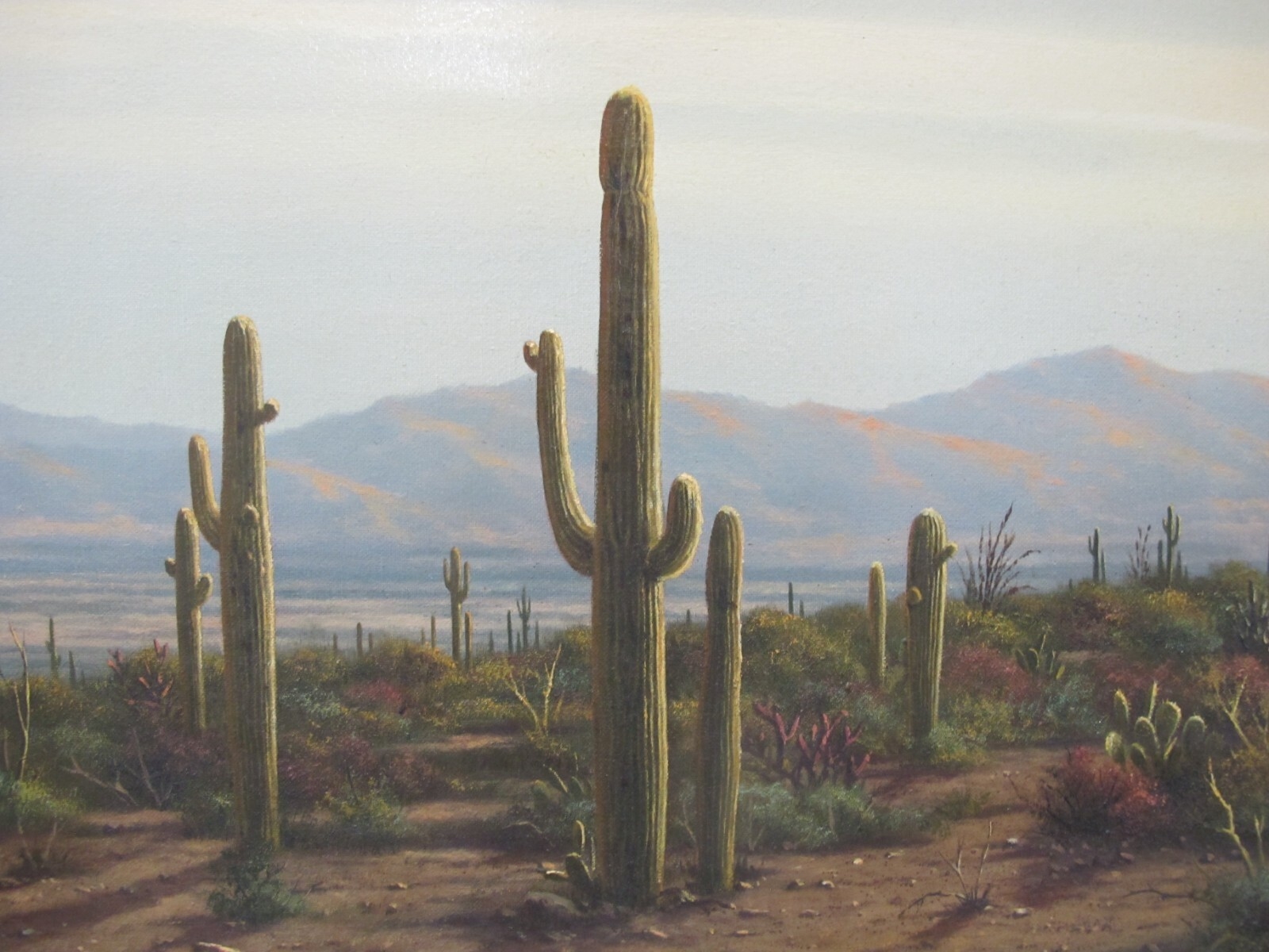 Robert Macintosh | Desert TUCSON SUNSET Landscape Signed Oil Painting ...