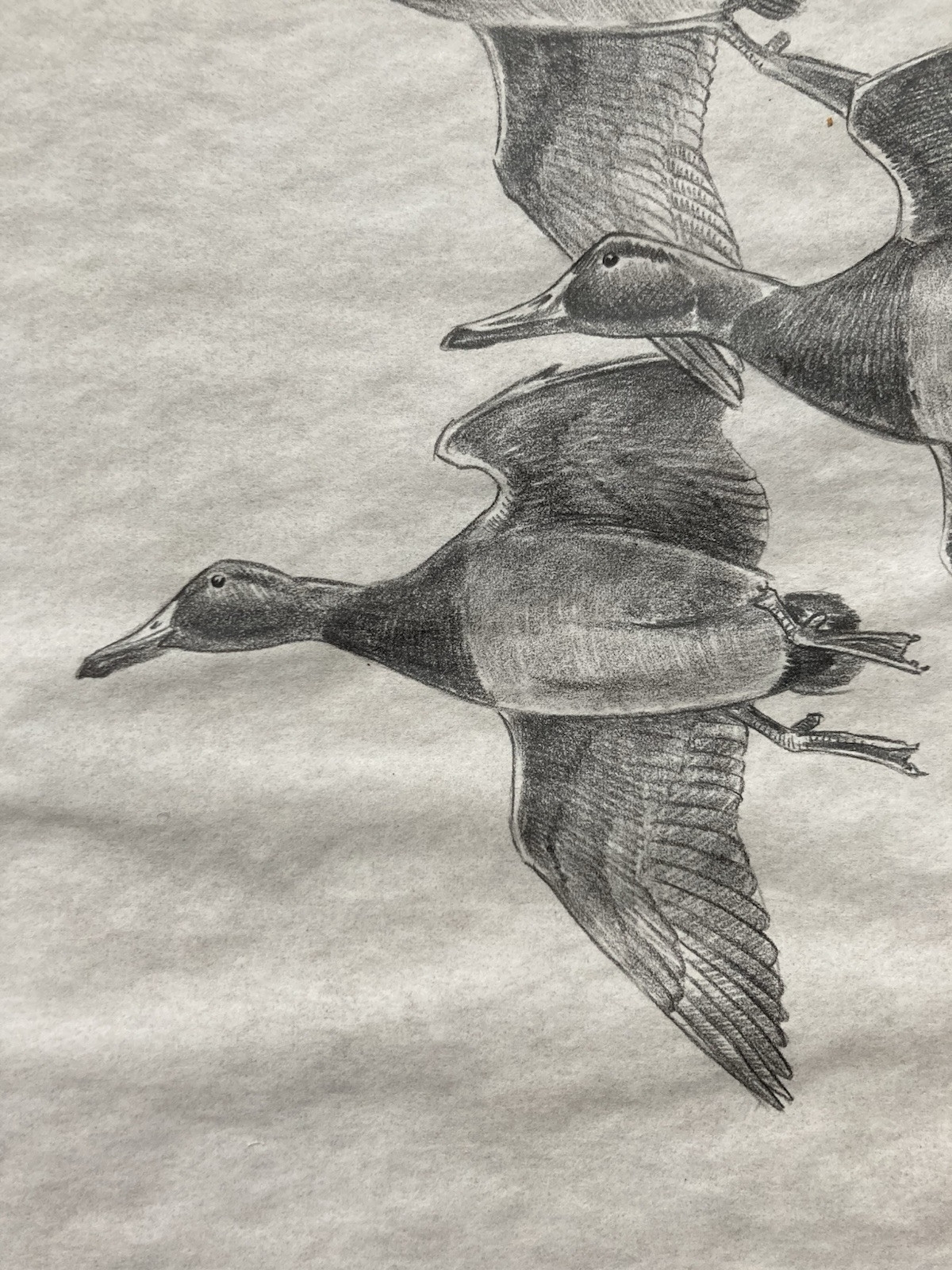 Larry Toschik | Ducks in Flight-Original Pencil Sketch by Larry Toschik ...