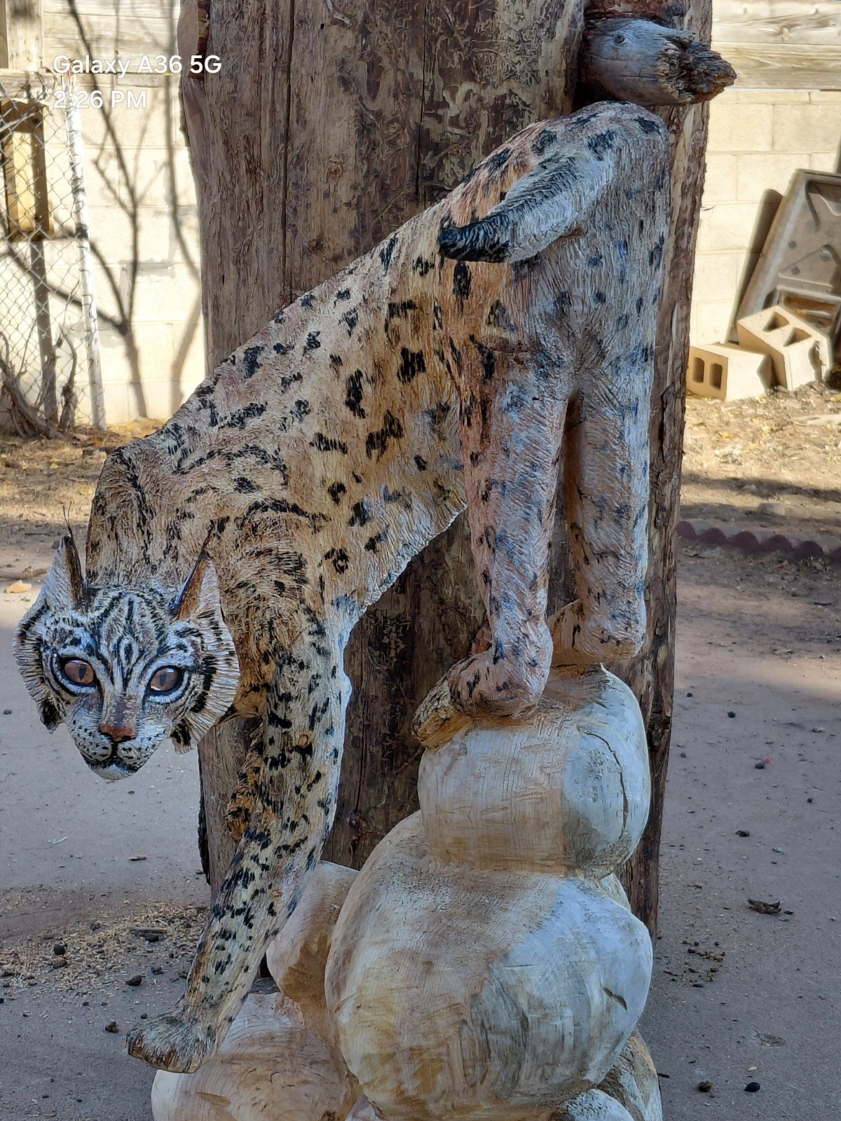 Ken Craig | Bobcat Sculpture Statue chainsaw carving | MutualArt