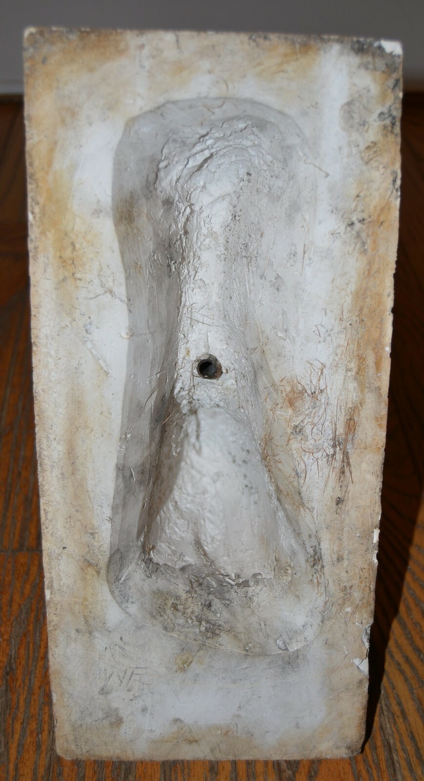 Meta Warrick Fuller | Sculpture Sphinx in Plaster (2011 - 2025) | MutualArt