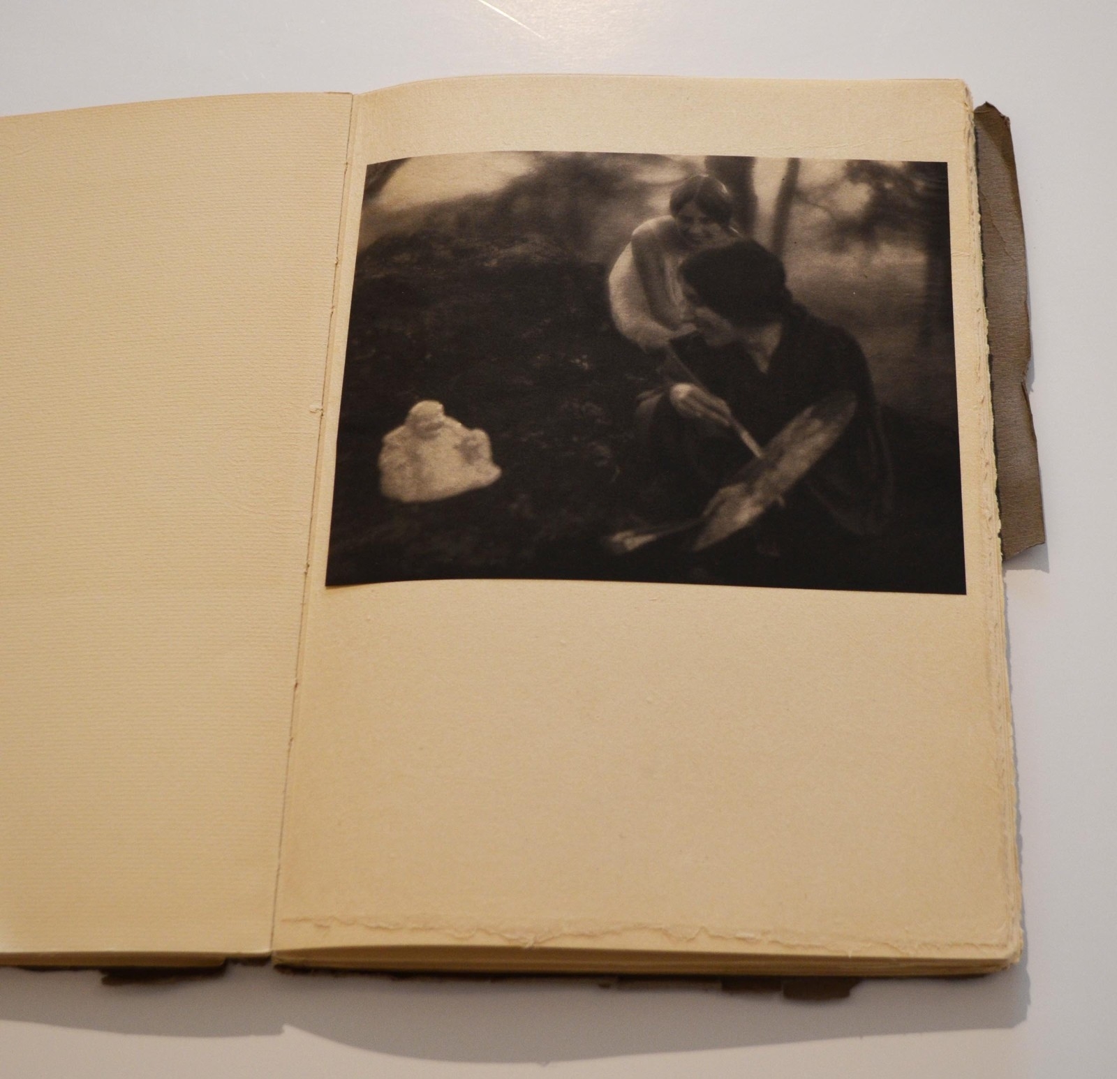 Alfred Stieglitz | Camera Work, Stieglitz Published (1910) | MutualArt