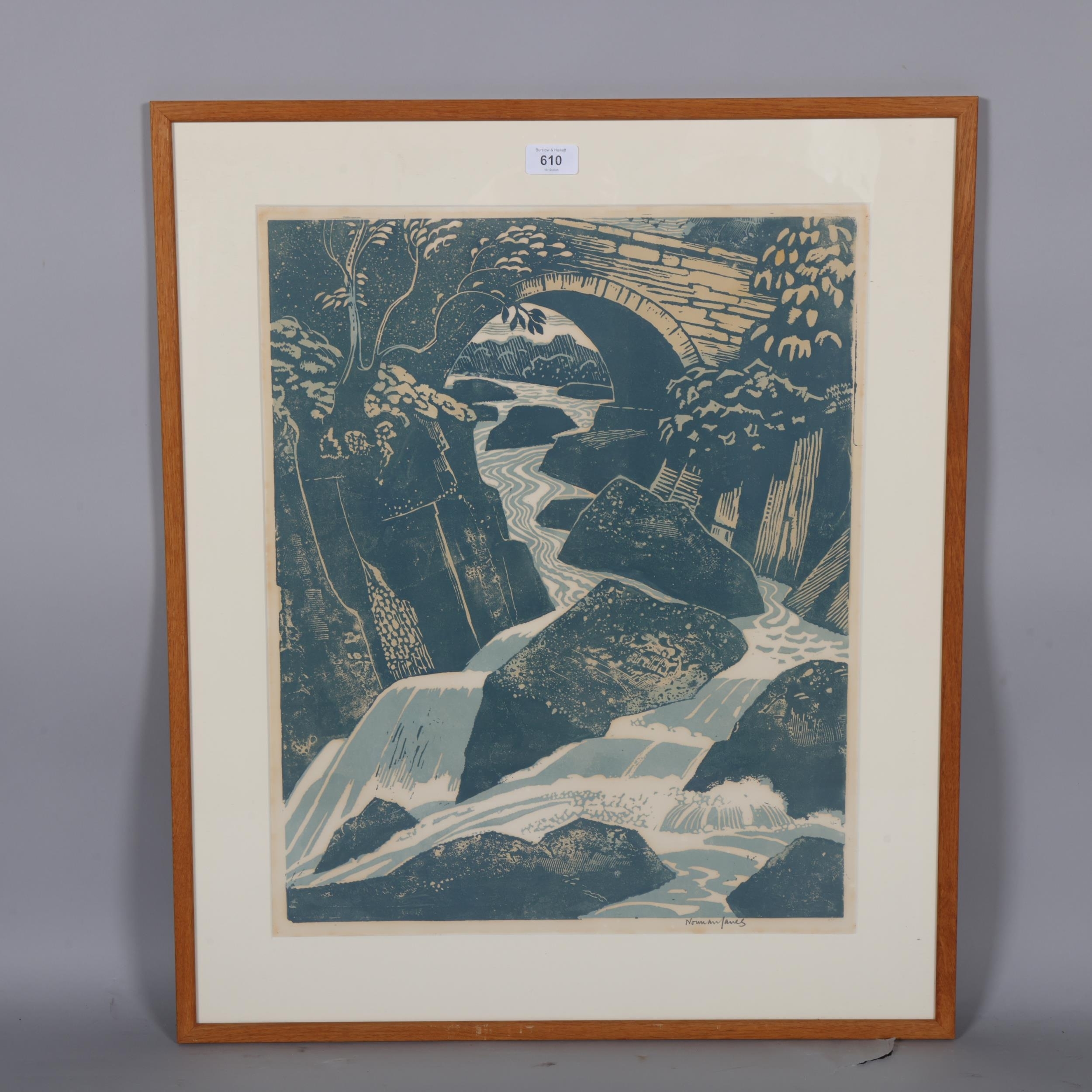 Norman Janes | Waterfall Capel Curig | MutualArt