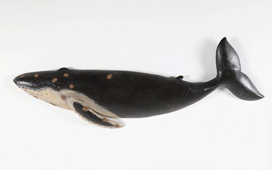 Brian Mitchell | Whale | MutualArt