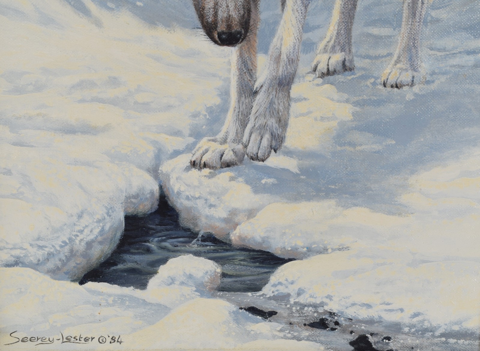 John Seerey-Lester | Snow Wolf (1984) | MutualArt