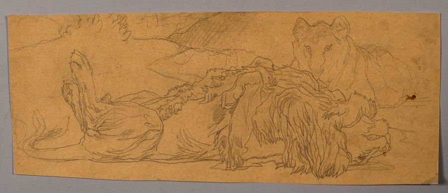 Auguste Lançon | Dead Lion, Attack of the lion | MutualArt
